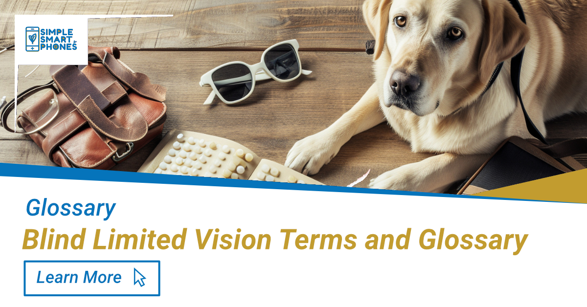 Blind & Limited Vision Terms And Vision Issues Glossary